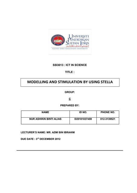 Simulation on Stella Full Report | PDF