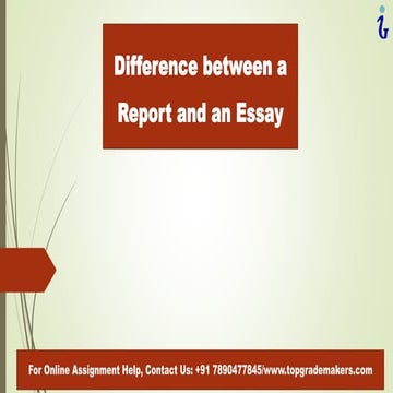 Essay vs report.pdf