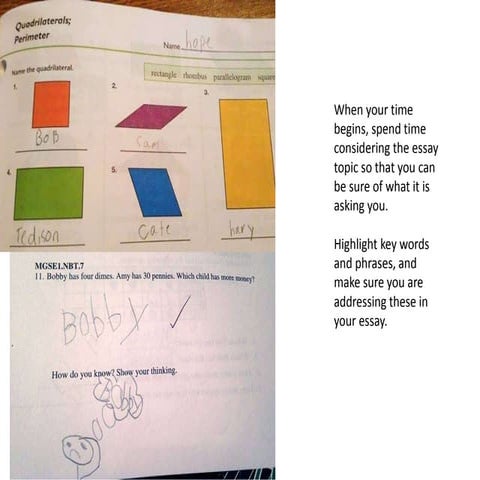 Animal Farm - Essay writing tips | PPTX