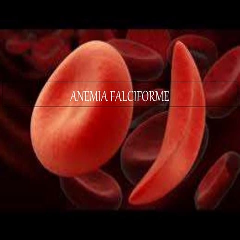 PALESTRA SOBRE ANEMIA DA CELULAS FALCIFORME ...