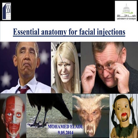 Essential anatomy for facial injections | PPTX