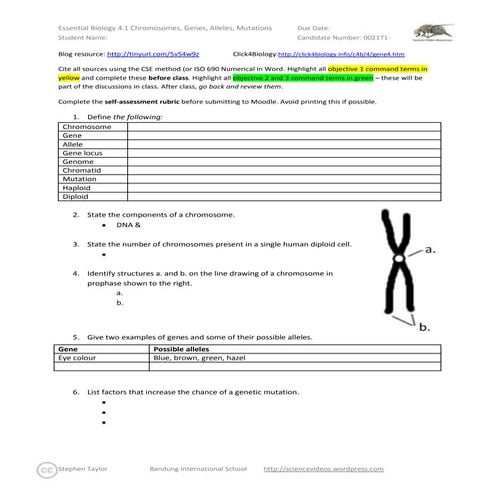 Essential Biology 04.1 Chromosomes, Genes, Alleles, Mutations | DOCX