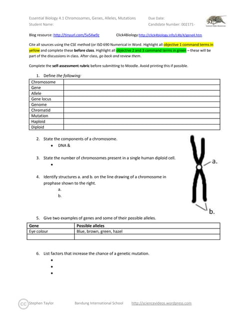 Essential Biology 10.3 Polygenic Inhertance (AHL) | DOCX | Genetics ...