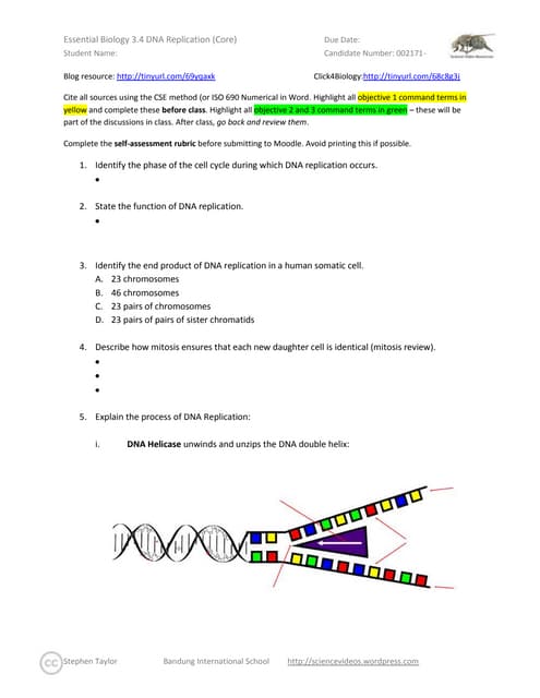 Essential Biology 3.4 & 7.2 DNA Replication (Core & AHL) | PDF