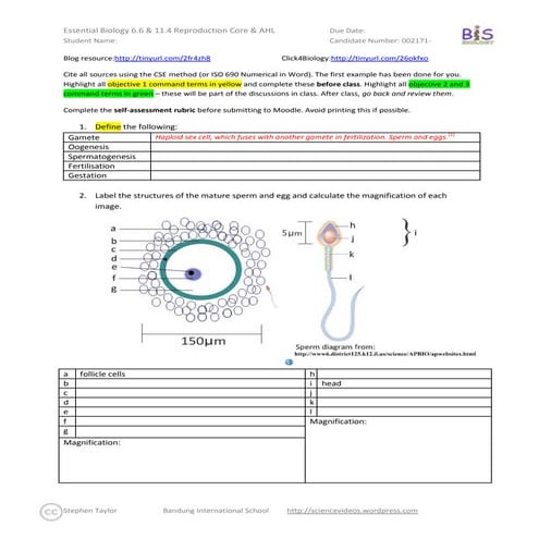 Essential Biology 6.6 & 11.1 Reproduction Core & AHL | DOCX