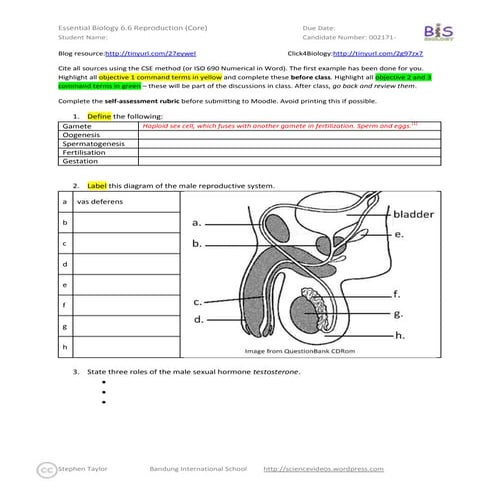 Essential Biology 6.6 Reproduction (SL) | DOCX | Birth Control ...