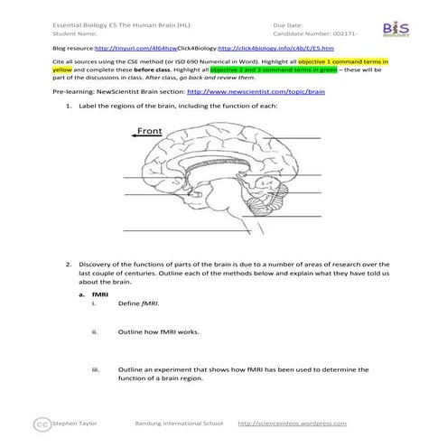 Essential Biology E5 (HL) The Human Brain | DOCX | Brain and Nervous ...