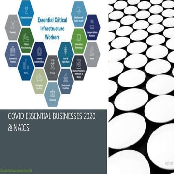 Essential businesses industry view | PPT