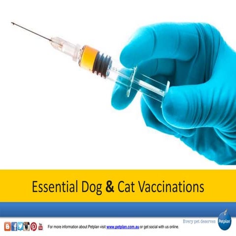 Essential Dog and Cat Vaccinations | PPTX
