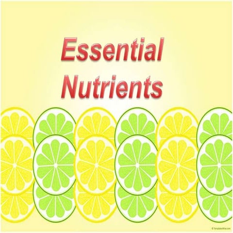 The 6 nutrients | PPT
