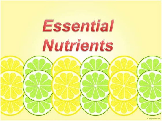 Plant-Based_Multi_Powder_Presentation_Final.pptx