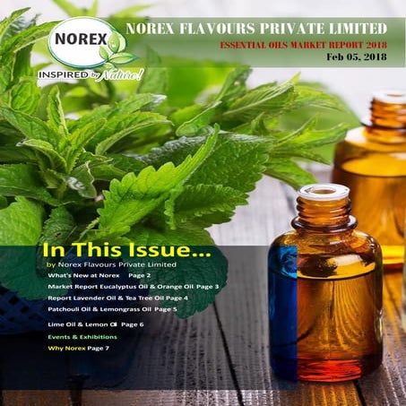 Norex Mint Market Update 2020 | PDF