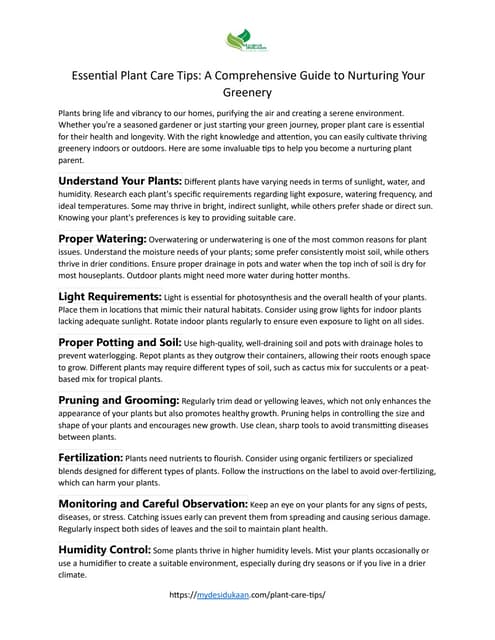 Essential Tips for Thriving Greenery : Indoor Household Plants | PPT