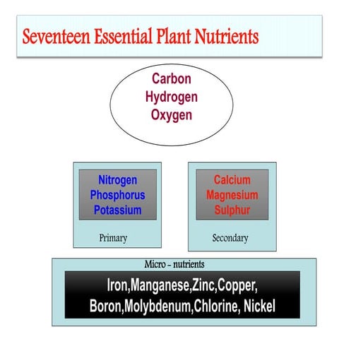 Essential plant nutrients | PPT
