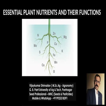 Mineral nutrition of Plants: Functions and deficiency symptoms of ...