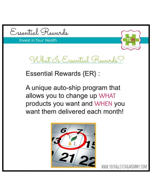 Essential rewards flyer | PDF