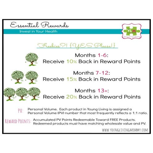 Essential rewards flyer | PDF