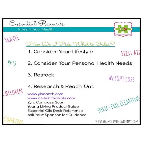 Essential rewards flyer | PDF