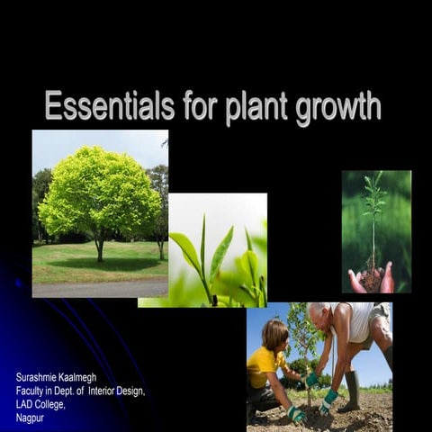 plant growth essentials | PDF
