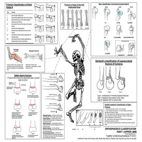 Essentials in Orthopedics MUST KNOW INFORMATION ASSORTED | PDF