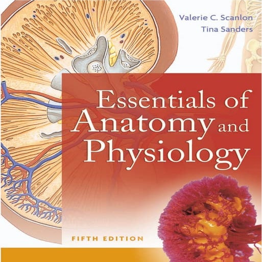Essentials of Anatomy and Physiology.pdf