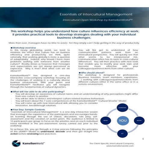 Intercultural Management Cultural Fusion: ITER, The Nascent