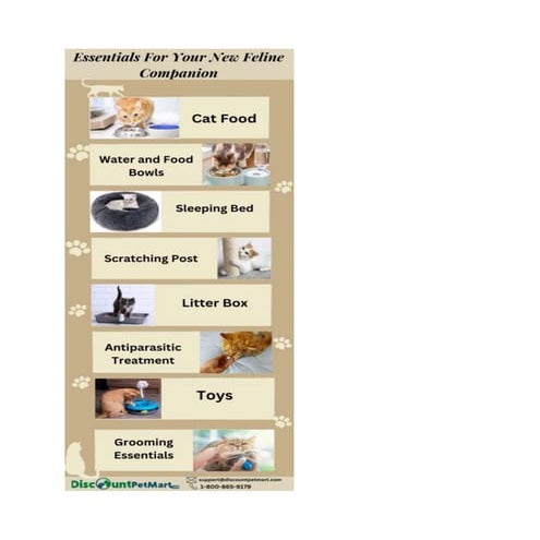 Essentials For Your New Feline Companion | DOCX