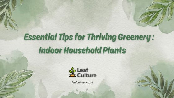 Essential Plant Care Tips | PDF
