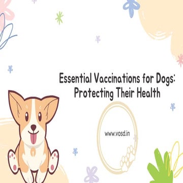 Essential Vaccinations for Dogs Protecting Their Health.pdf