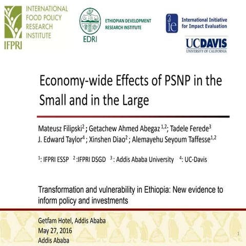 Economy-wide Effects of PSNP in the Small and in the Large | PPTX ...
