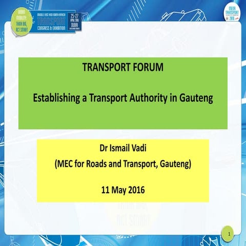 Establishing a transport authority in Gauteng | PDF