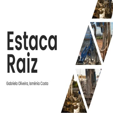 Estaca Raiz.pdf