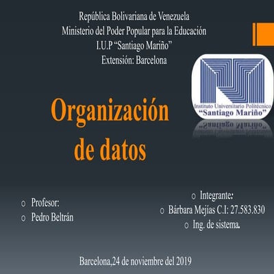 Organización de Datos | PPTX | Databases | Computer Software and Applications