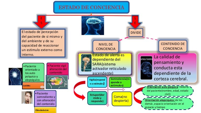 Estado de conciencia
