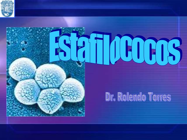 Estafilococos | PPT