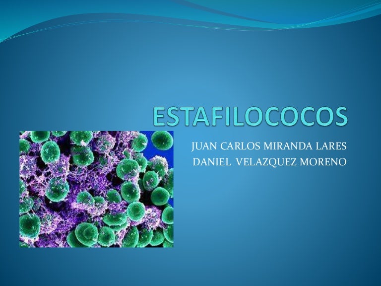 Estafilococos