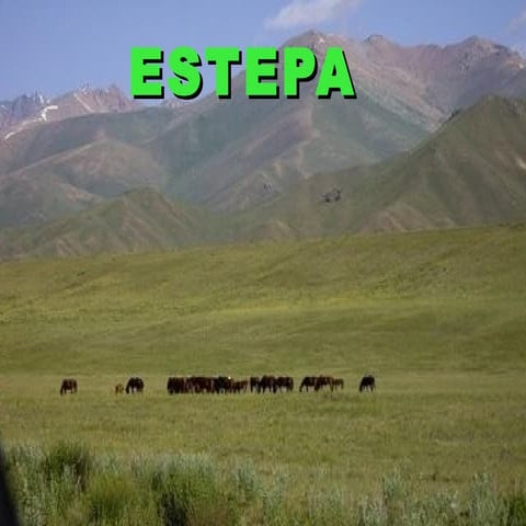 Estepa sabana | ODP