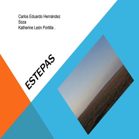Estepas y sus características principales | PPTX