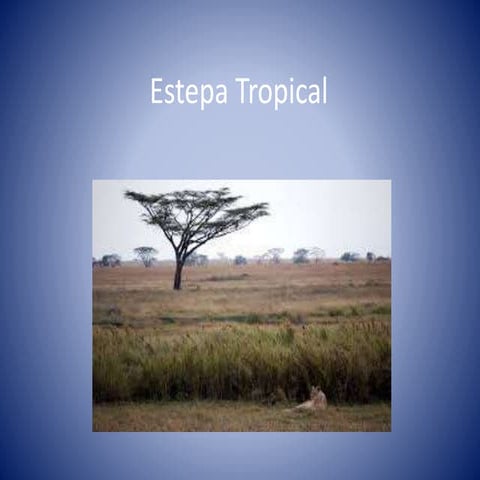 Bosque tropical muy húmedo