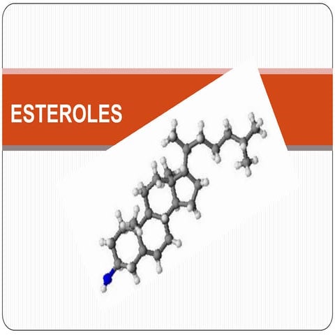Esteroles | PPTX