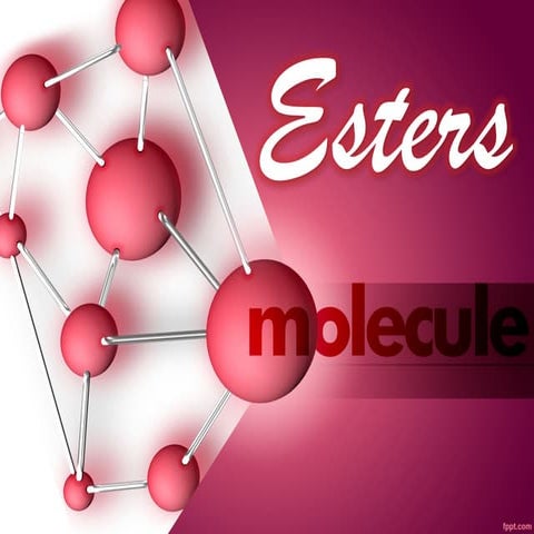 acid base catalysed Ester hydrolysis | PPTX