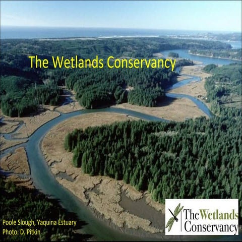 Esther Lev, Wetlands Conservancy | PPT