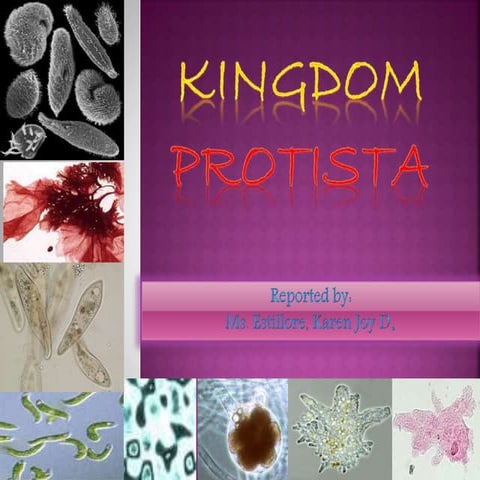 Kingdom Protista | PPTX