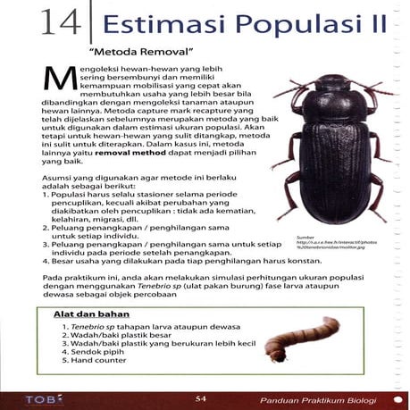 Estimasi populasi ii | PDF