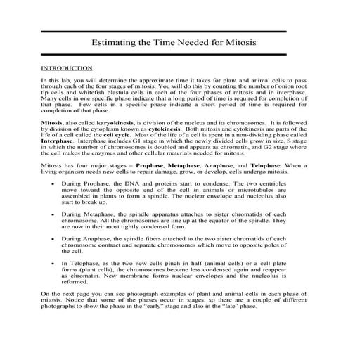 Estimating the-time-needed-for-mitosis | DOC