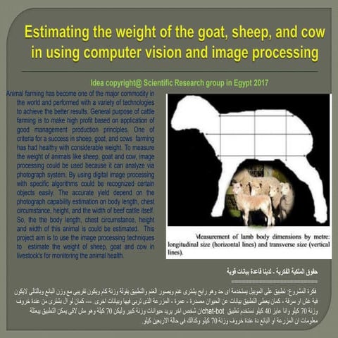 Estimating the weight of the goat, sheep, and cow using computer vision ...