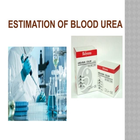 ESTIMATION OF BLOOD UREA for biochemistry Mbbs 1st year.pptx