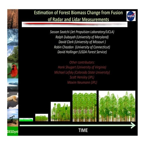 WE1.L09.5 - ESTIMATION OF FOREST BIOMASS CHANGE FROM FUSION OF RADAR ...
