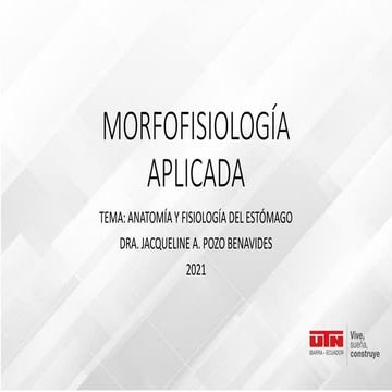 Esfinter Esofagico Inferior Anatomia Humana | PDF