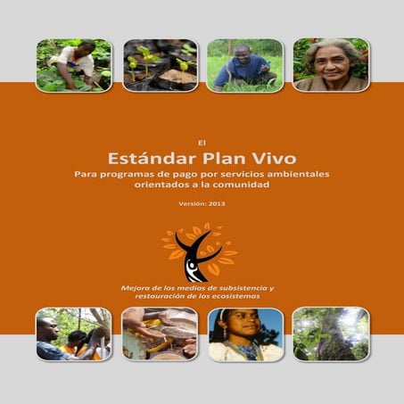 Estándar Plan Vivo | PDF